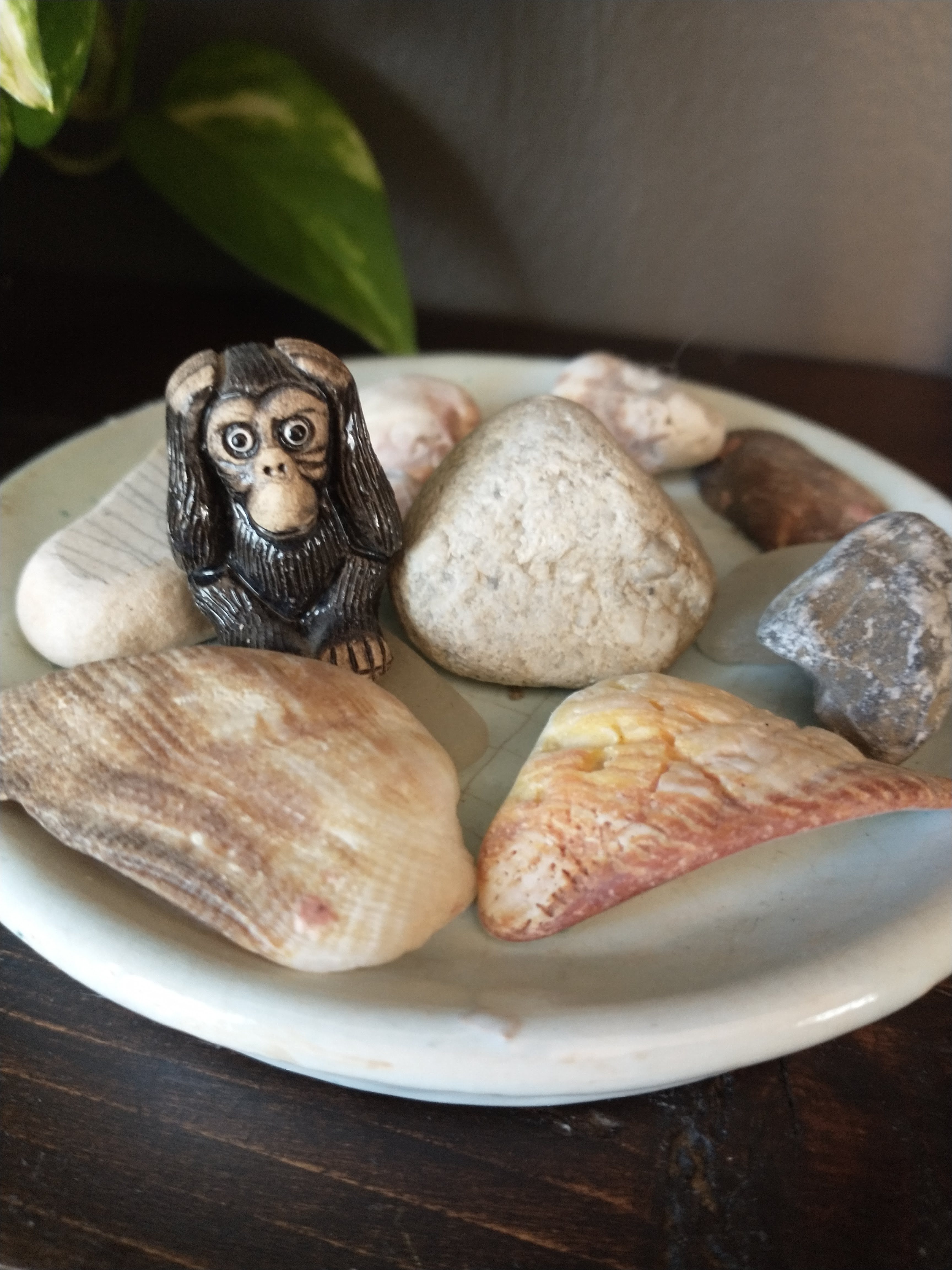 How the Monkey Bored the Squirrel (and Everybody Else) – Ghost Paper ...